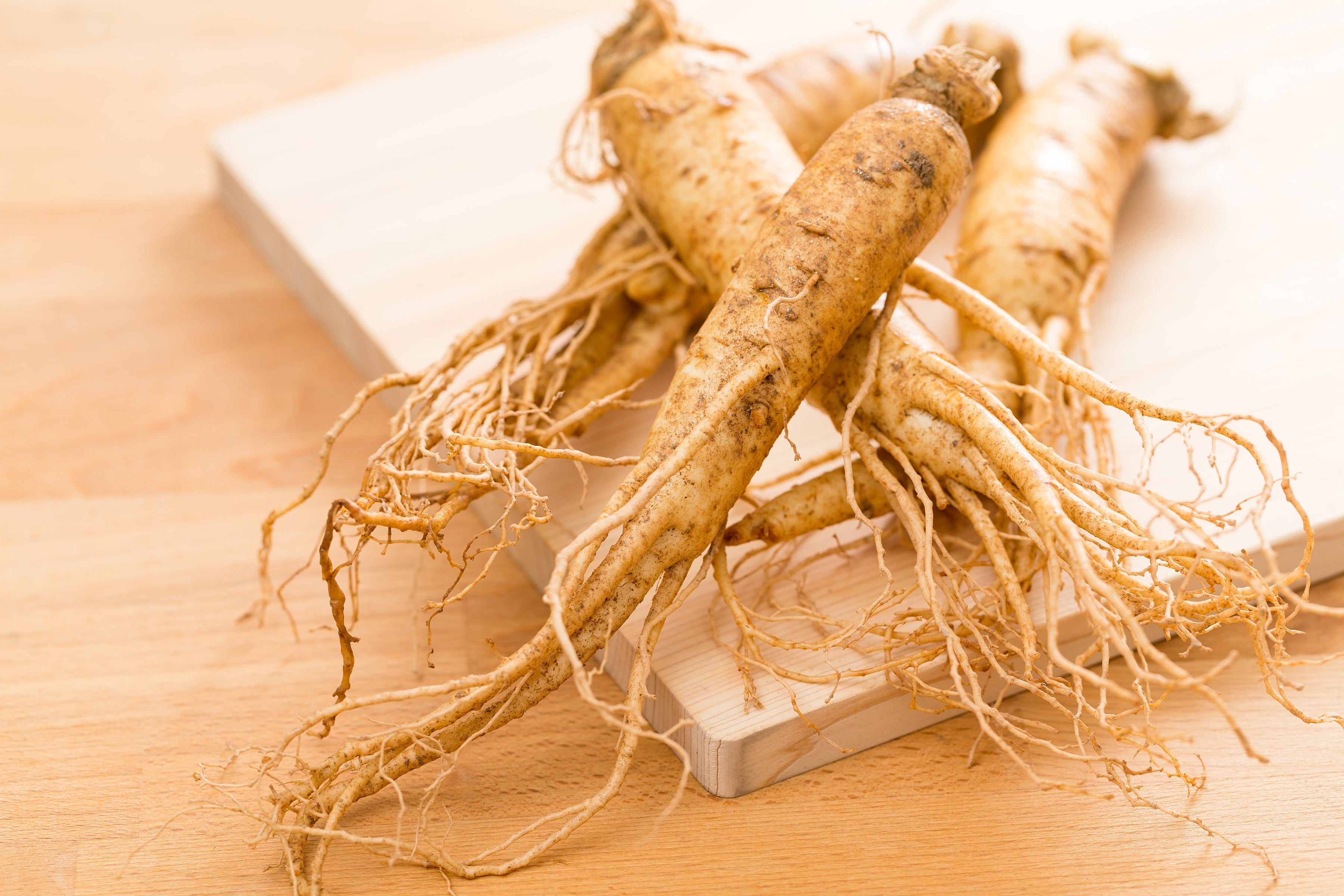 What is Ginseng? — Baumann Ginseng