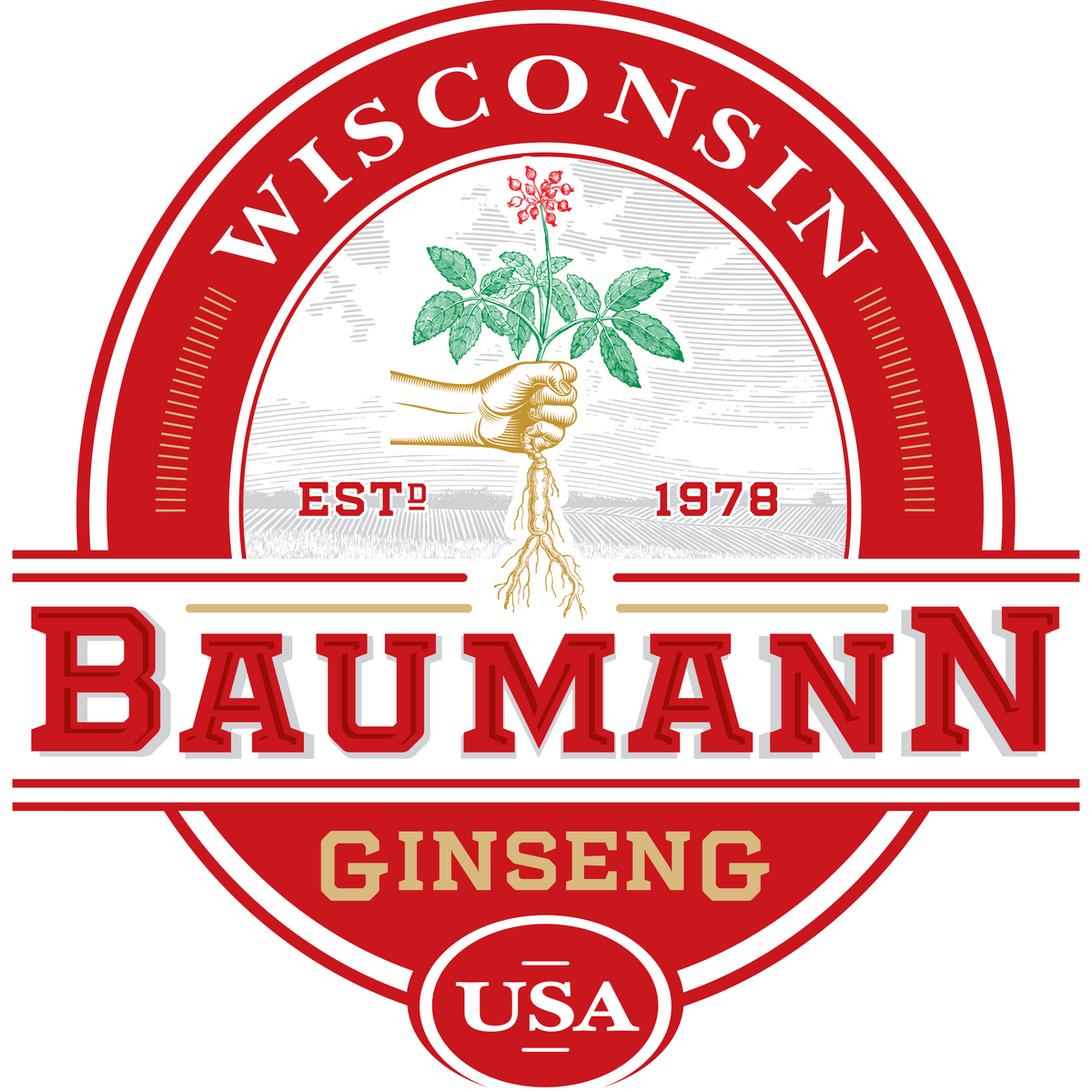 How to Use Ginseng Slices in Everyday Recipes — Baumann Ginseng